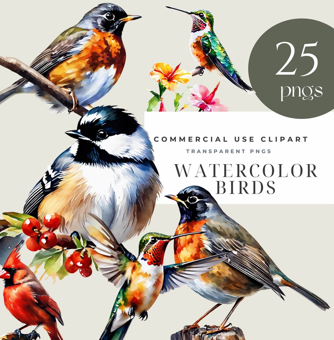 Beautiful Watercolor Bird Clipart PNG Bundle Transparent Background ...
