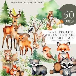 Enchanted Forest Friends Clipart 50 Watercolor Pngs, Woodland Animals ...