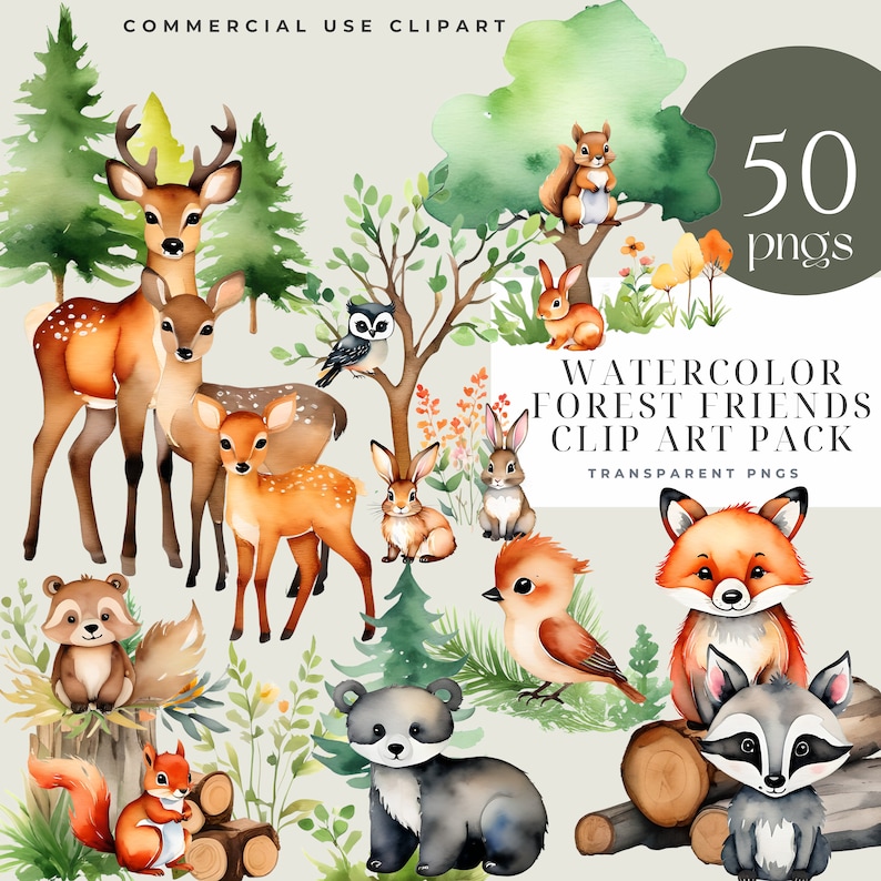 Enchanted Forest Friends Clipart 50 Watercolor Pngs, Woodland Animals ...