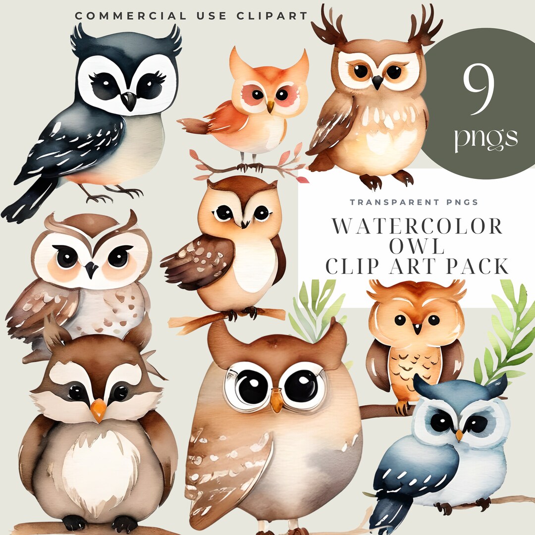 Adorable Owl Watercolor Clipart Collection - 9 Transparent Pngs ...