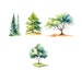 Watercolor Trees Clipart Set: PNG Images for Commercial Use Forest and ...