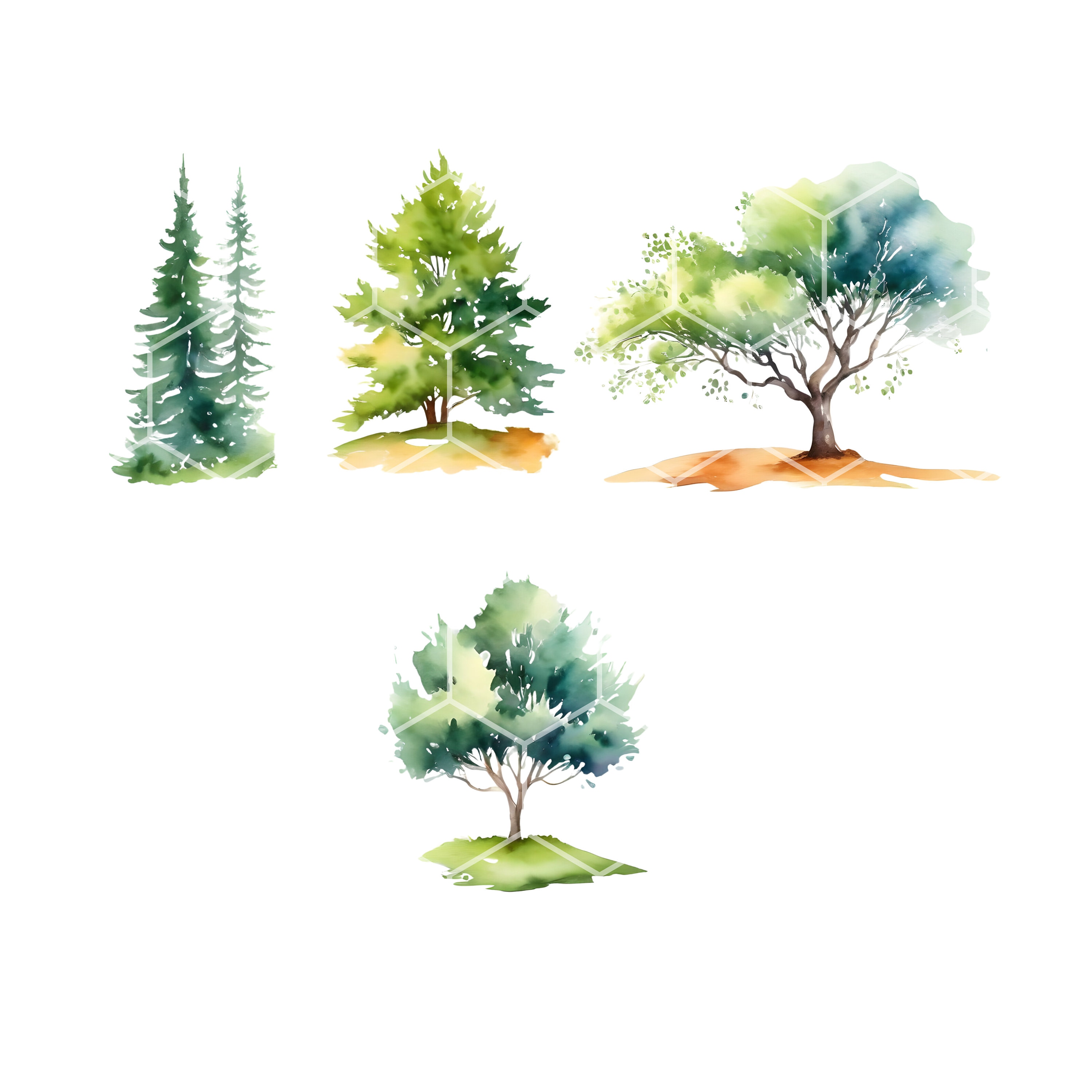 Watercolor Trees Clipart Set: PNG Images for Commercial Use - Forest ...