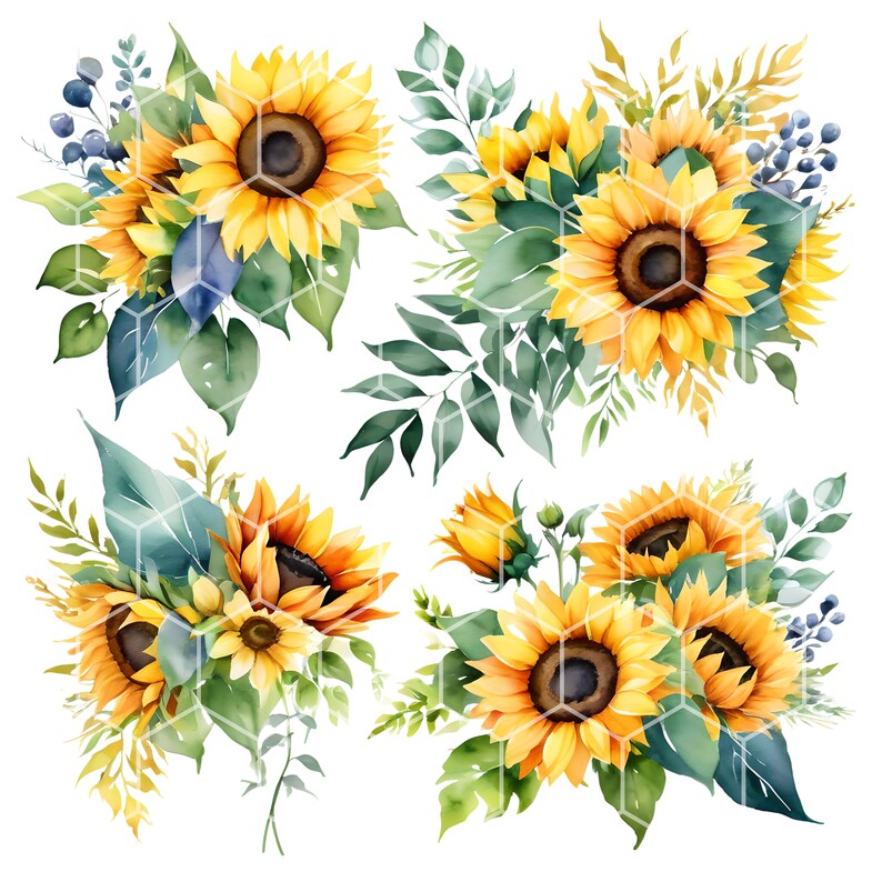 Sunflower Clipart, Sunflowers PNG, Sunflower Watercolor Clipart Pack ...
