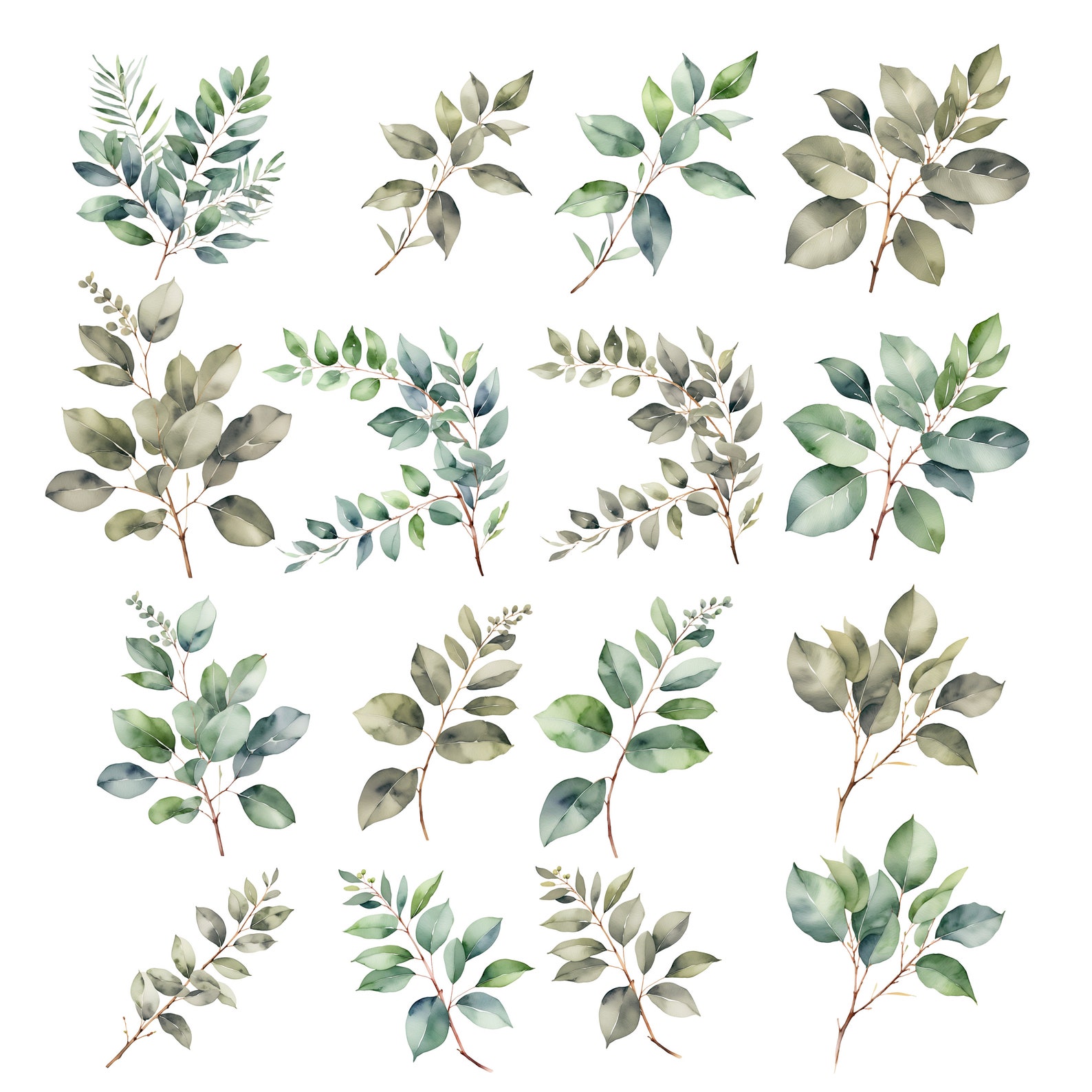 Watercolor Eucalyptus Leaves Clipart, Eucalyptus Wedding Greenery ...