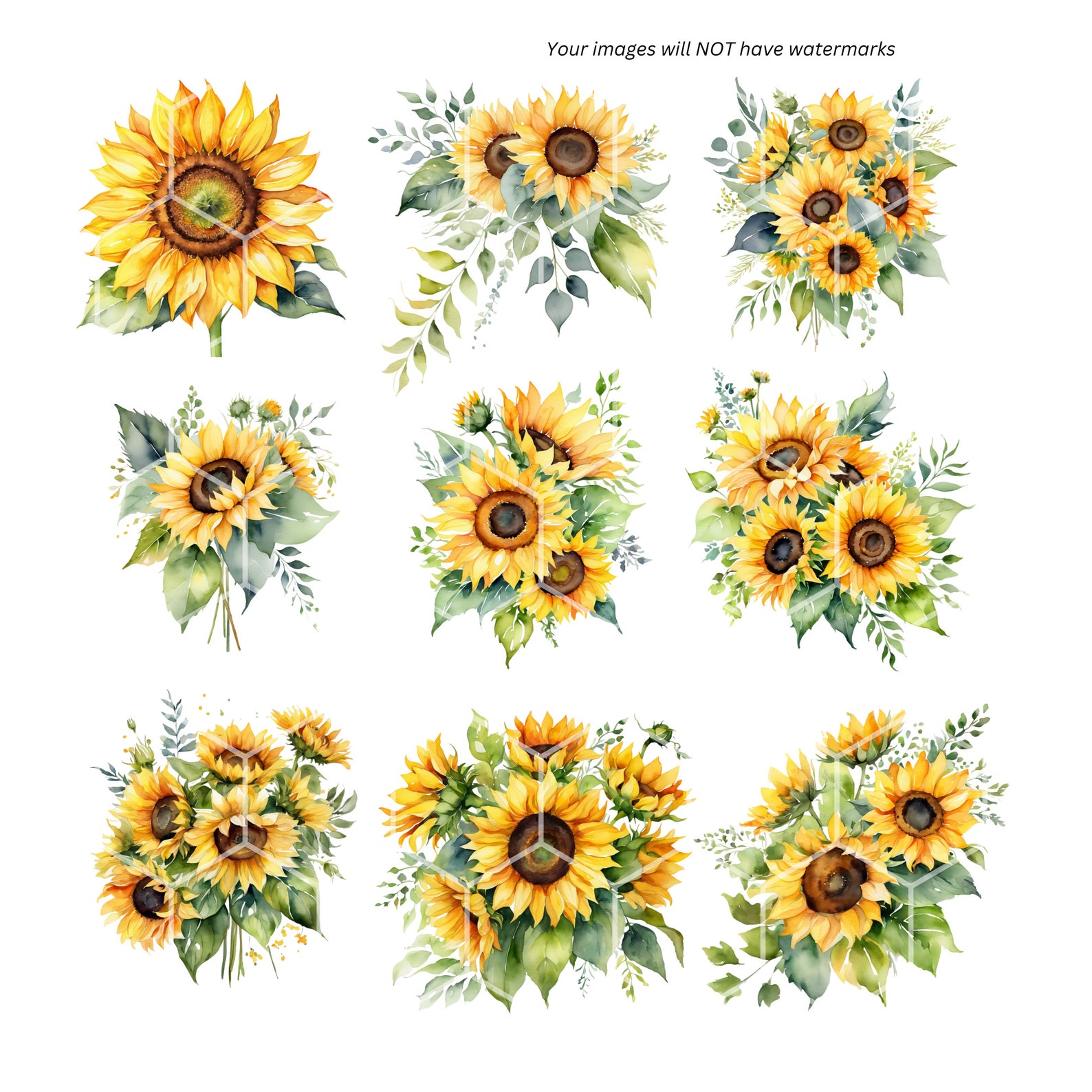 Set of 18 , Sunflowers Clipart Bundle, Watercolor Sunflower PNG ...