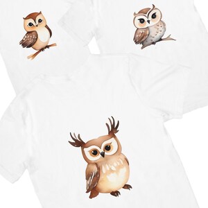 Adorable Owl Watercolor Clipart Collection - 9 Transparent Pngs ...