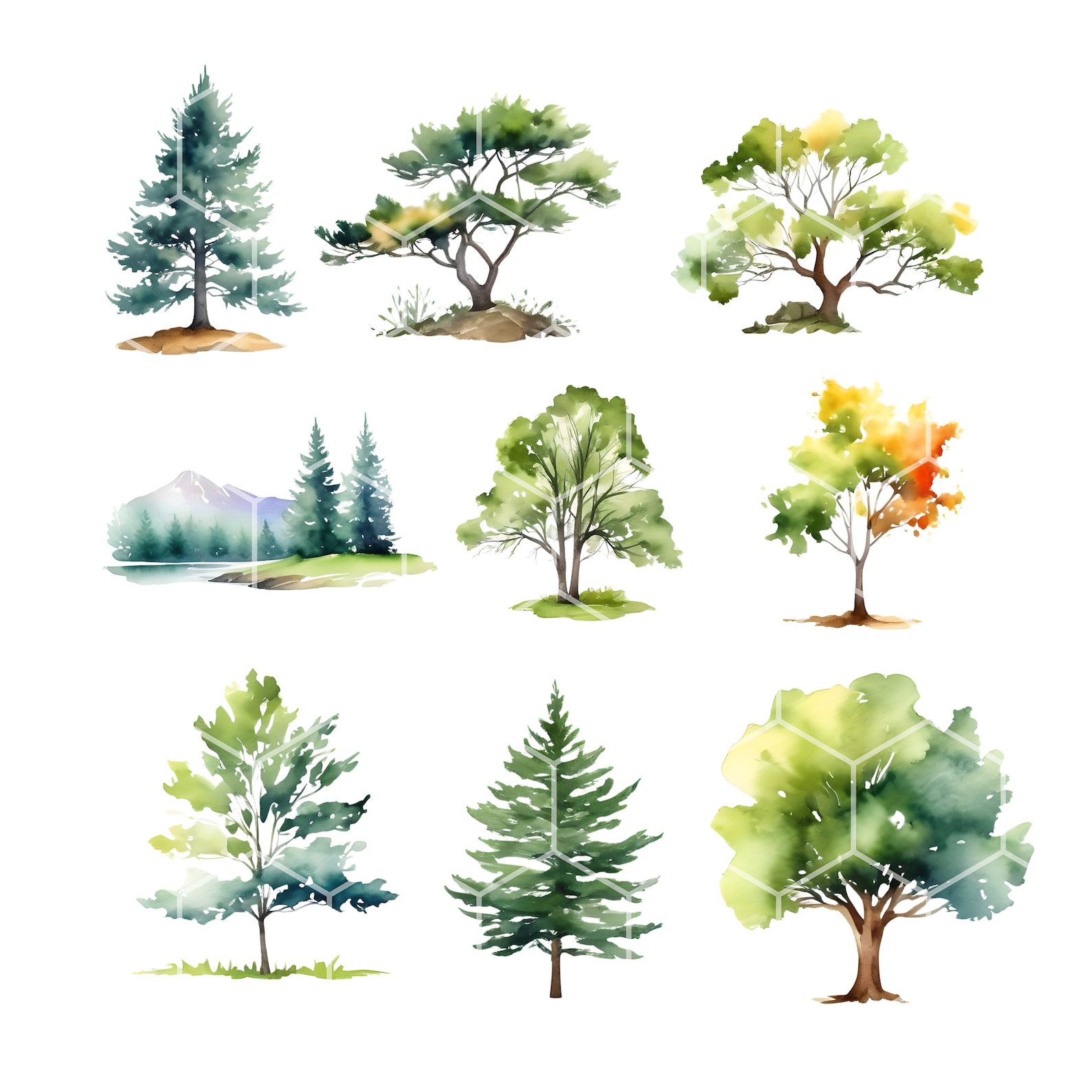 Watercolor Trees Clipart Set: PNG Images for Commercial Use Forest and ...