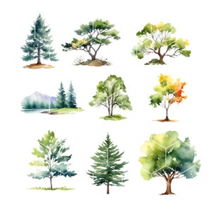 Watercolor Trees Clipart Set: PNG Images for Commercial Use - Forest ...