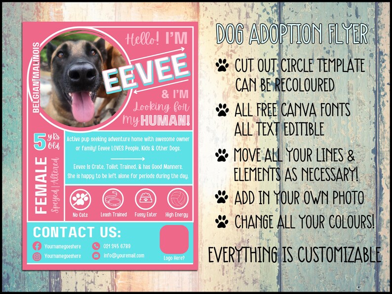 DIY A4 Dog Adoption Flyer Canva Template Fully Customizable for ...