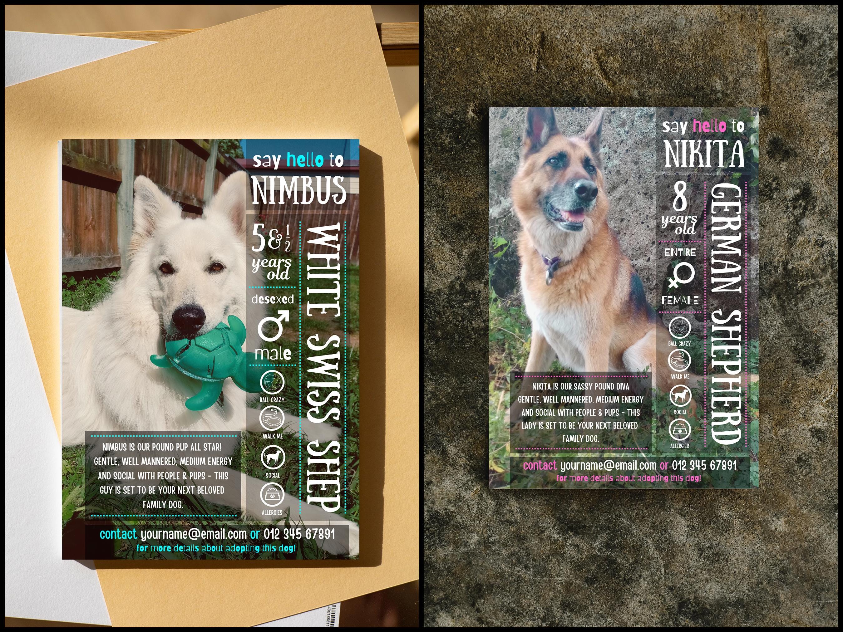 Adoption Flyer BUNDLE 5 A4 Dog Adoption Pet Rescue Canva Templates Easy ...