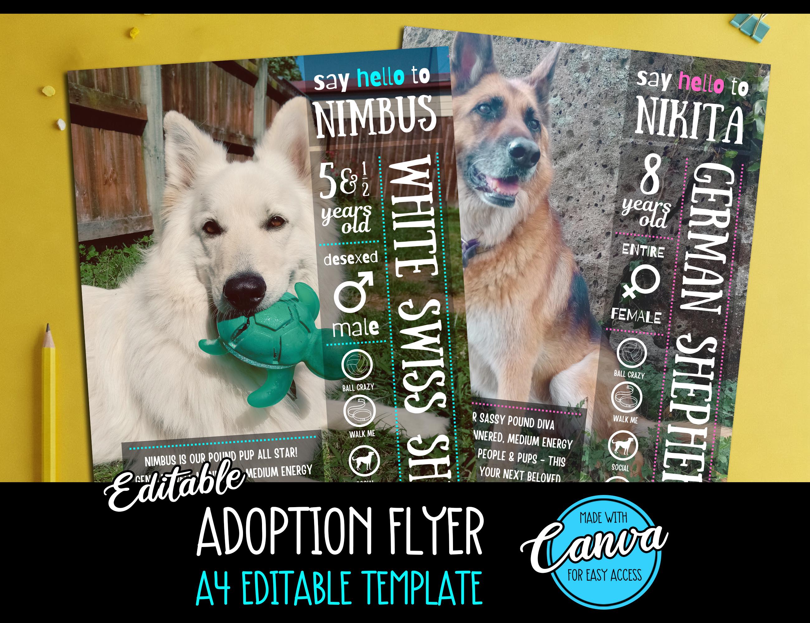 Dog Adoption Flyer Template, Customizable DIY Dog Canva Template - Etsy
