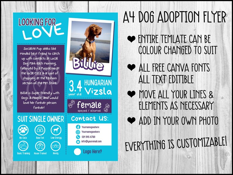 Dog Adoption Flyer Template, Customizable DIY Dog Canva Template - Etsy
