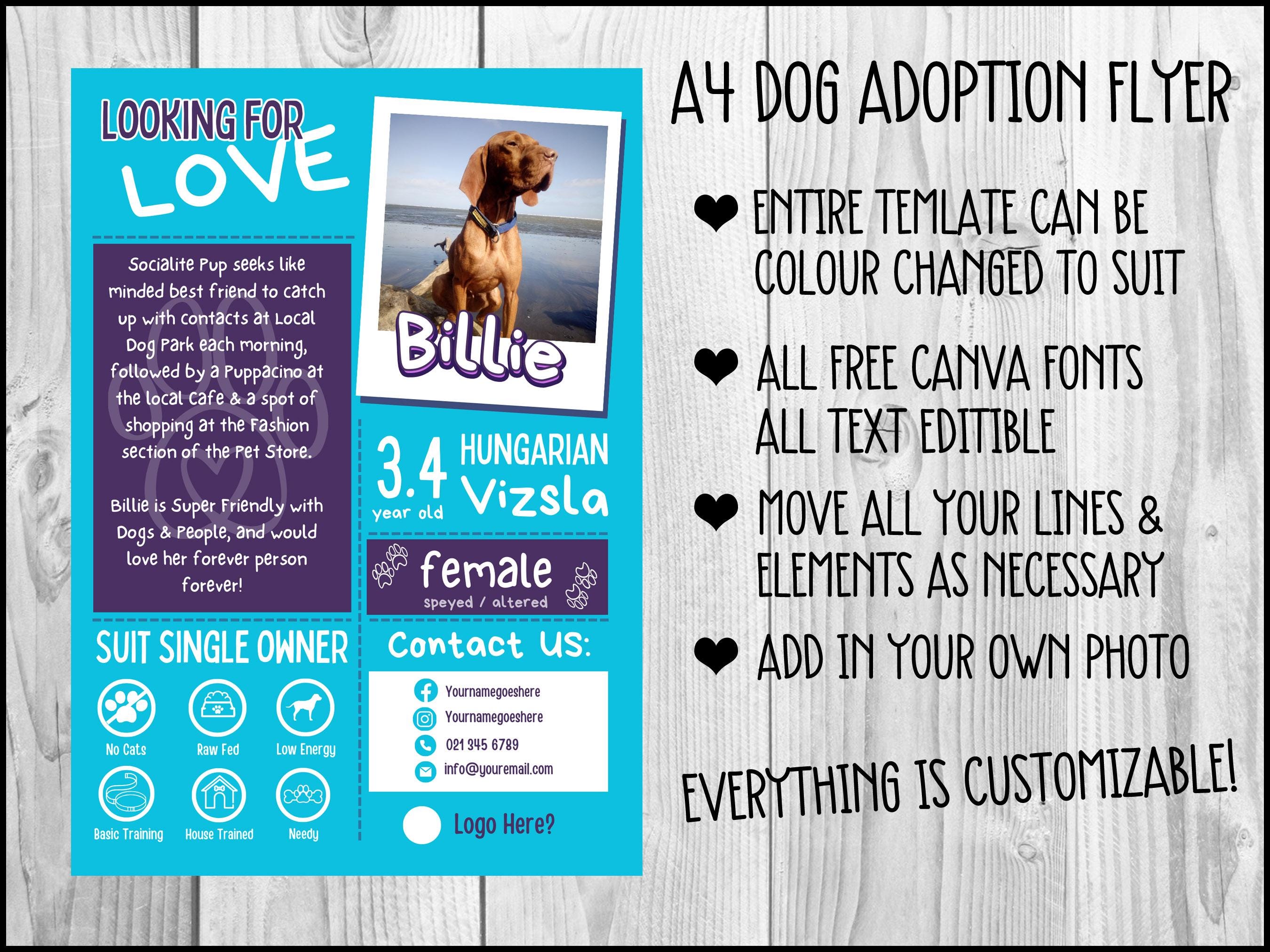 Dog Adoption Flyer Template, Customizable DIY Dog Canva Template - Etsy
