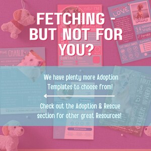 Editable Dog Adoption Flyer Template | Pink & Turquoise Pet Rehoming ...