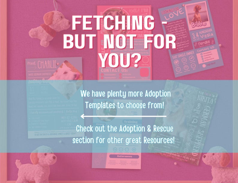 Editable Dog Adoption Flyer Template | Pink & Turquoise Pet Rehoming ...