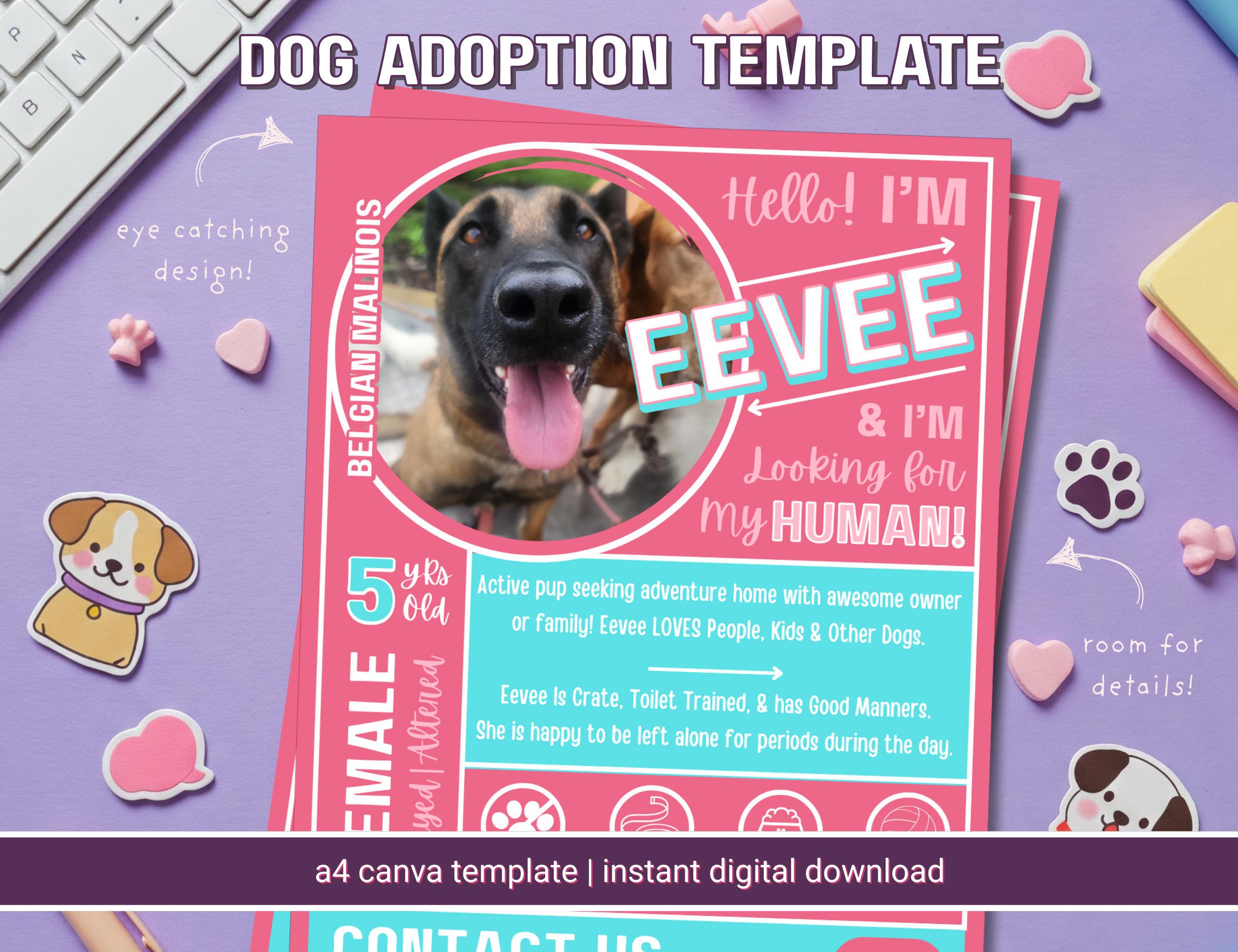 Editable Dog Adoption Flyer Template | Pink & Turquoise Pet Rehoming ...