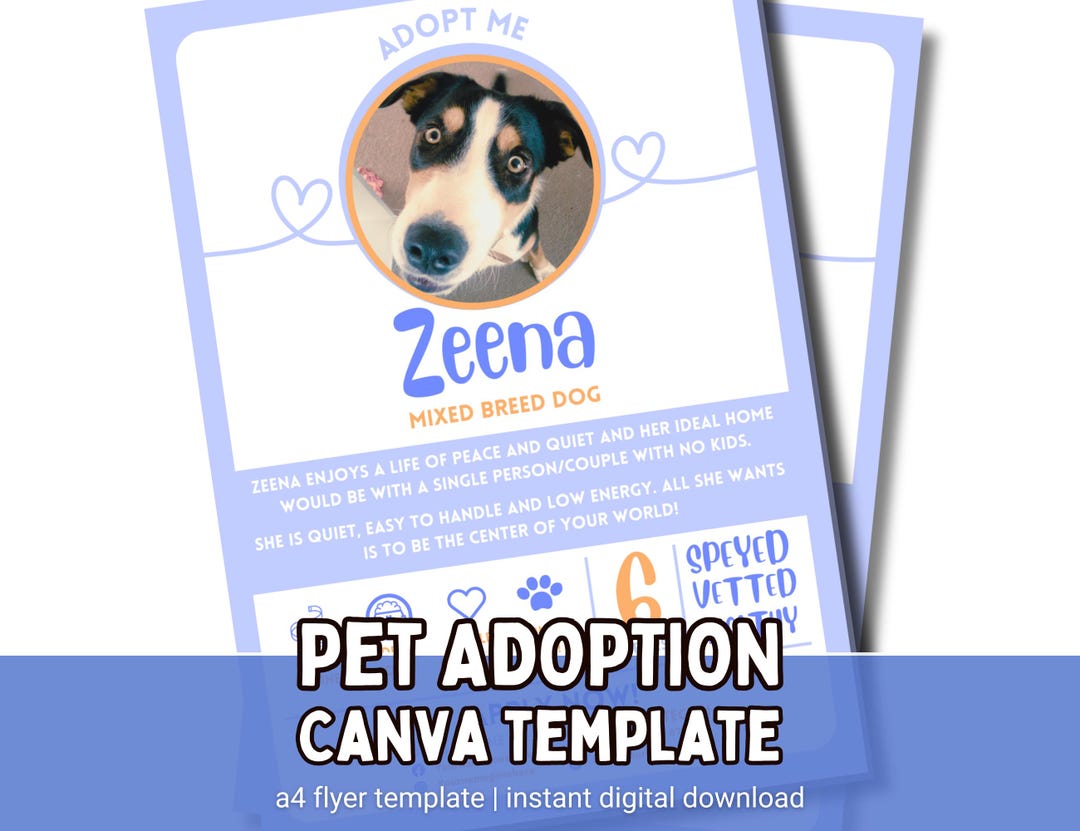 Dog Adoption Flyer Template | Orange & Blue Pet Rescue Poster for Canva ...