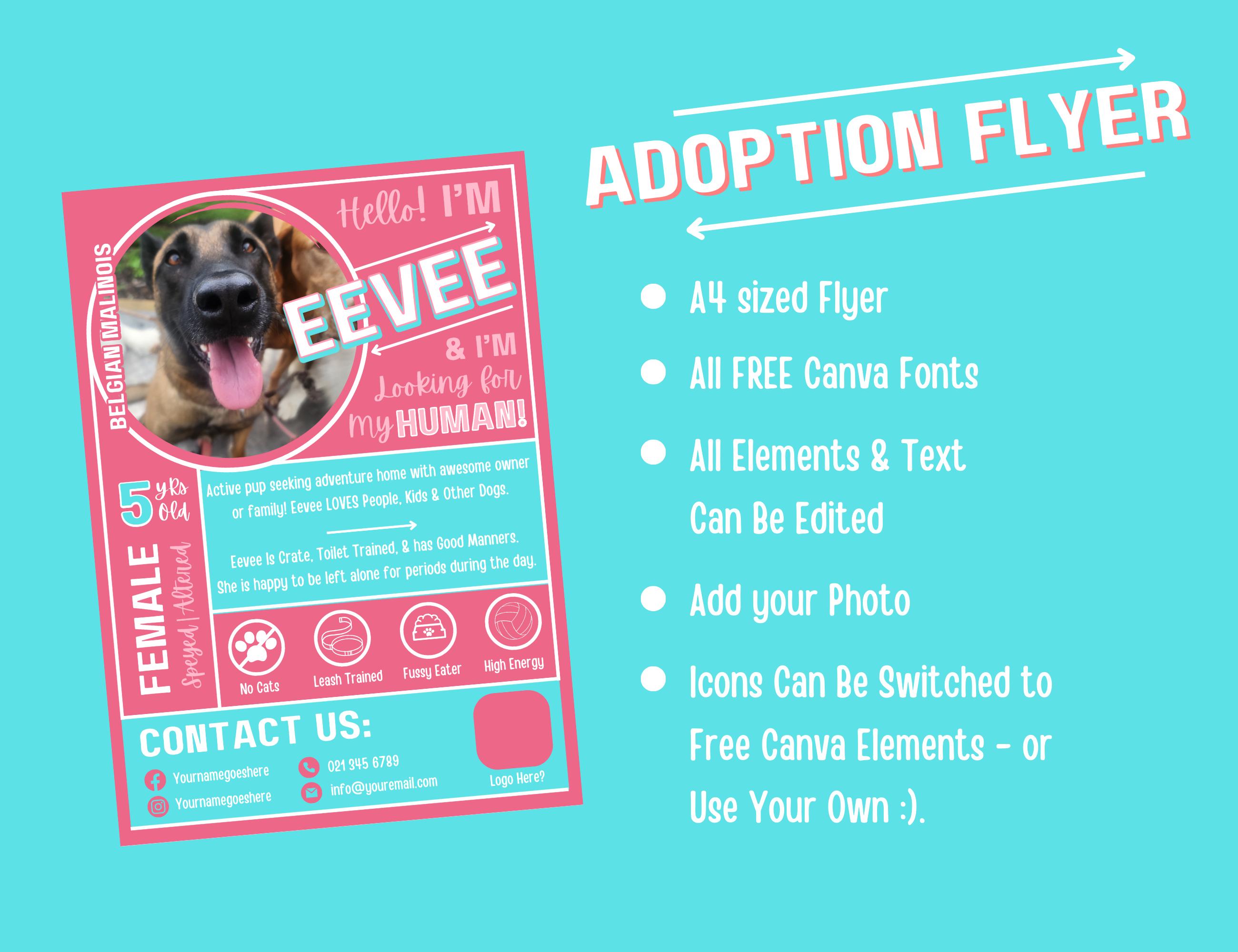 Editable Dog Adoption Flyer Template | Pink & Turquoise Pet Rehoming ...