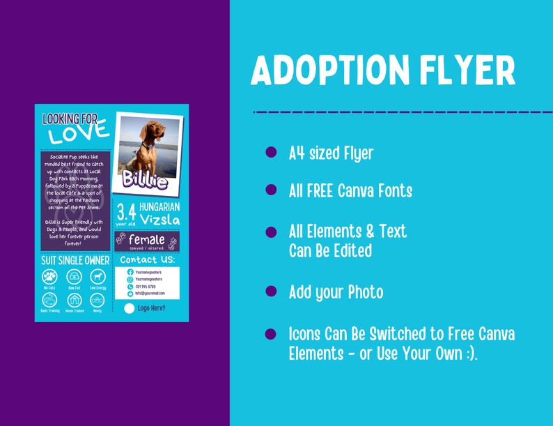Dog Adoption Flyer Template: Editable Pet Resume (canva, A4, Digital ...