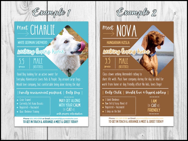 Adoption Flyer BUNDLE 5 A4 Dog Adoption Pet Rescue Canva Templates Easy ...