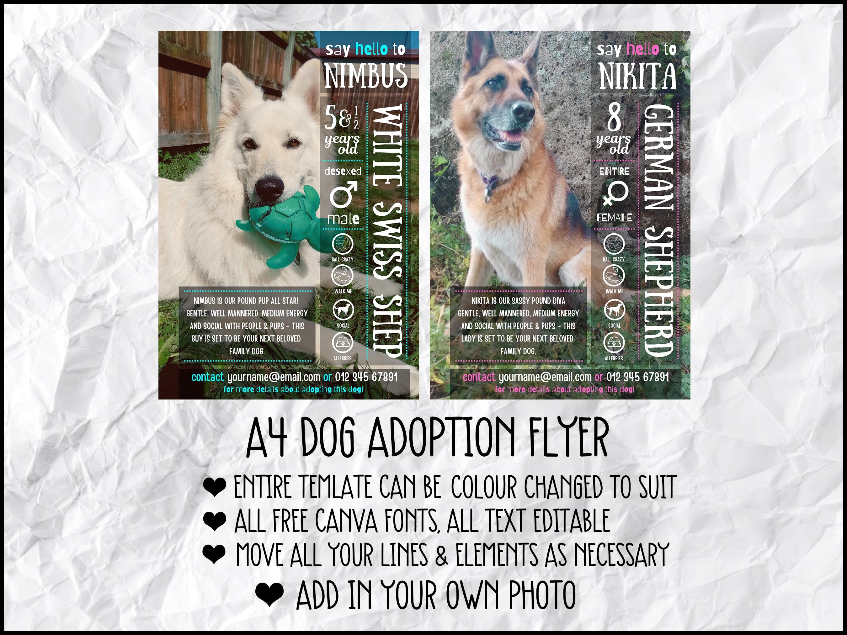 Dog Adoption Flyer Template, Customizable DIY Dog Canva Template - Etsy
