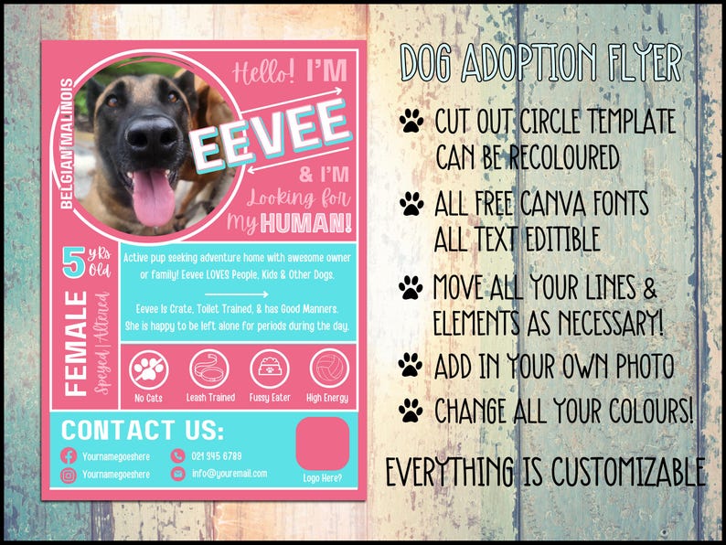 Adoption Flyer BUNDLE 5 A4 Dog Adoption Pet Rescue Canva Templates Easy ...