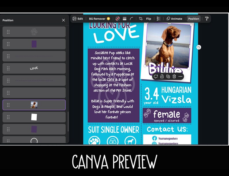 Printable Dog Adoption Flyer Template – Customizable Canva Design for ...