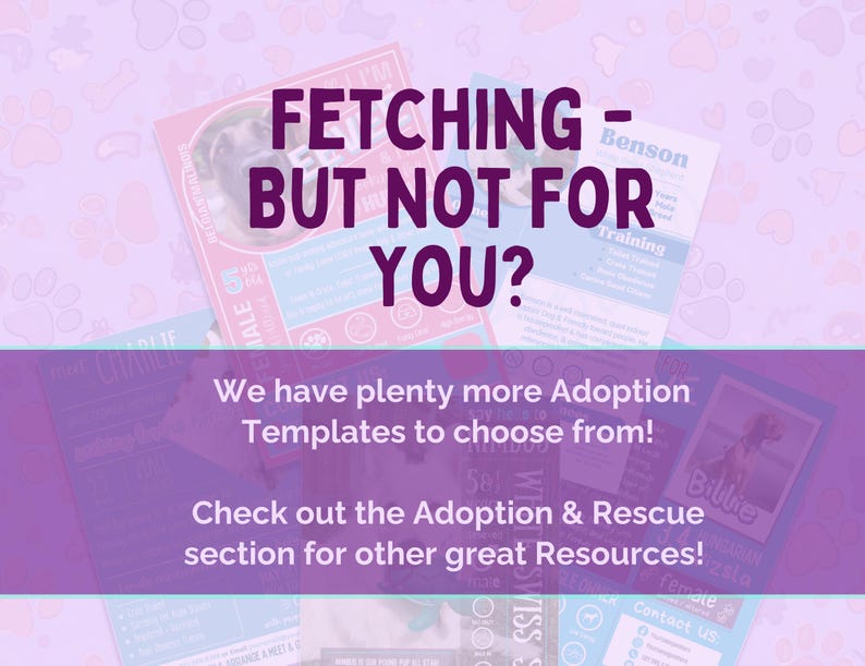 Pet Adoption Flyer Templates: Rescue & Shelter Canva Designs (digital ...
