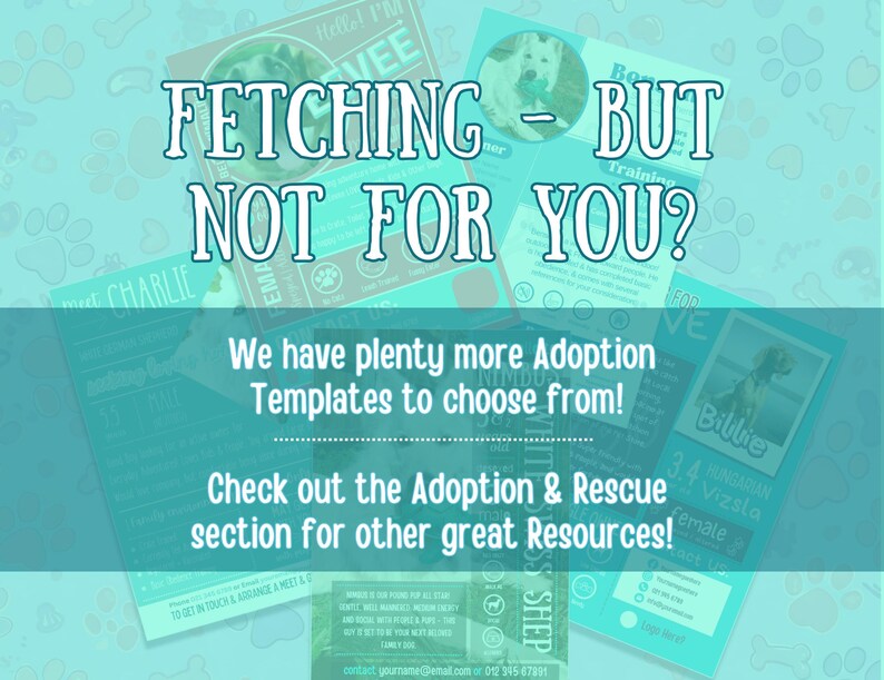Dog Adoption Flyer Template: Canva Pet Rescue Poster (digital Download ...