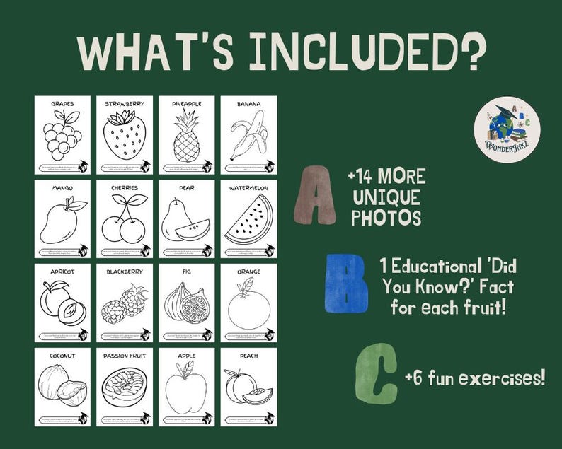 36 Fruit Coloring Pages for School Kids Educational Homeschool PDF ...