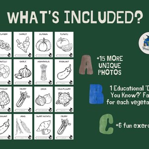 40 Vegetable Coloring Pages for School Kids Educational Homeschool PDF ...