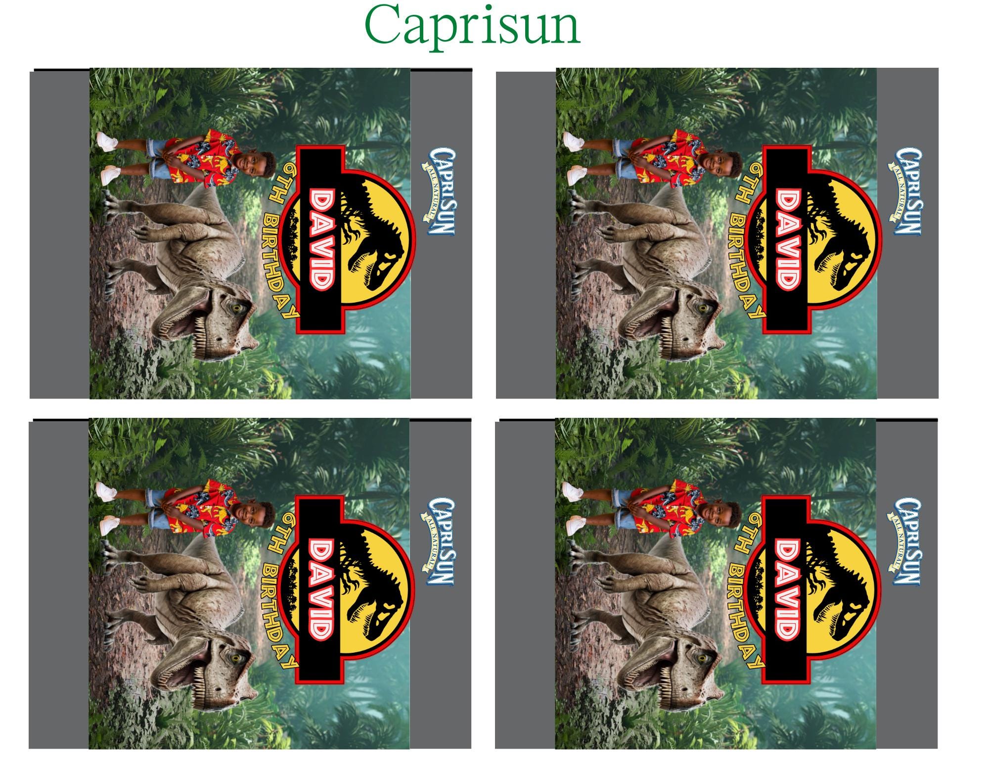 Editable Dinosaur Party Favor Template Bundle | Printable Dino Treat ...