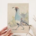 Bird Greeting Card | 5x7 | Quail | Bird in the Desert | Original Art ...