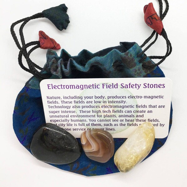 Electromagnetic Bag - Etsy