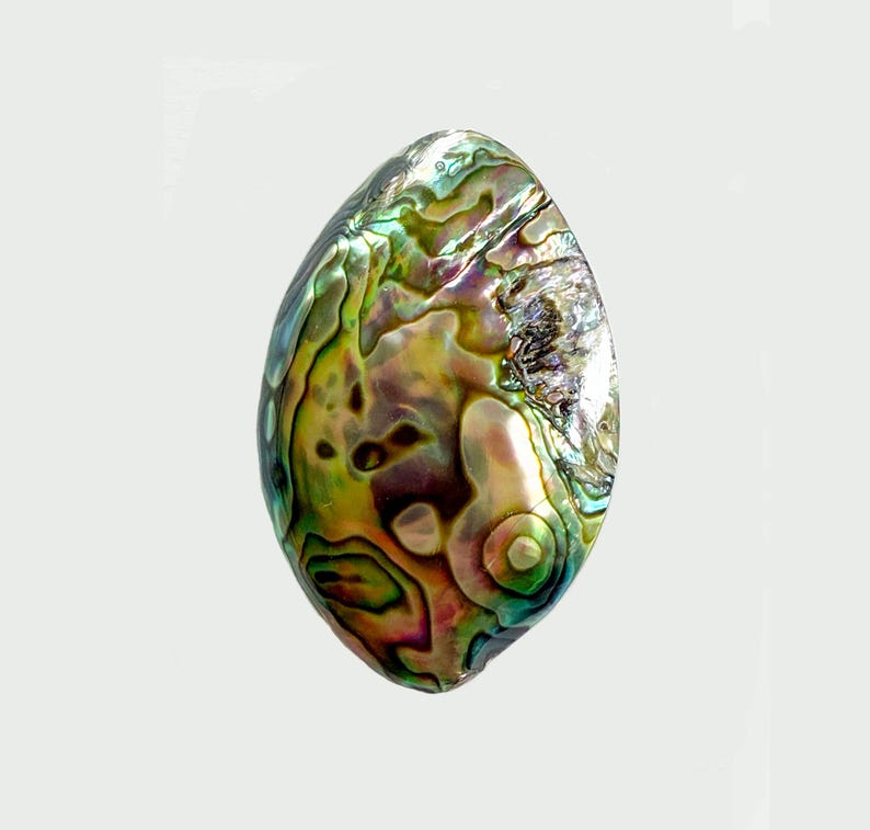 Abalone Bead Puffy Oval Mother of Pearl Bead - Etsy