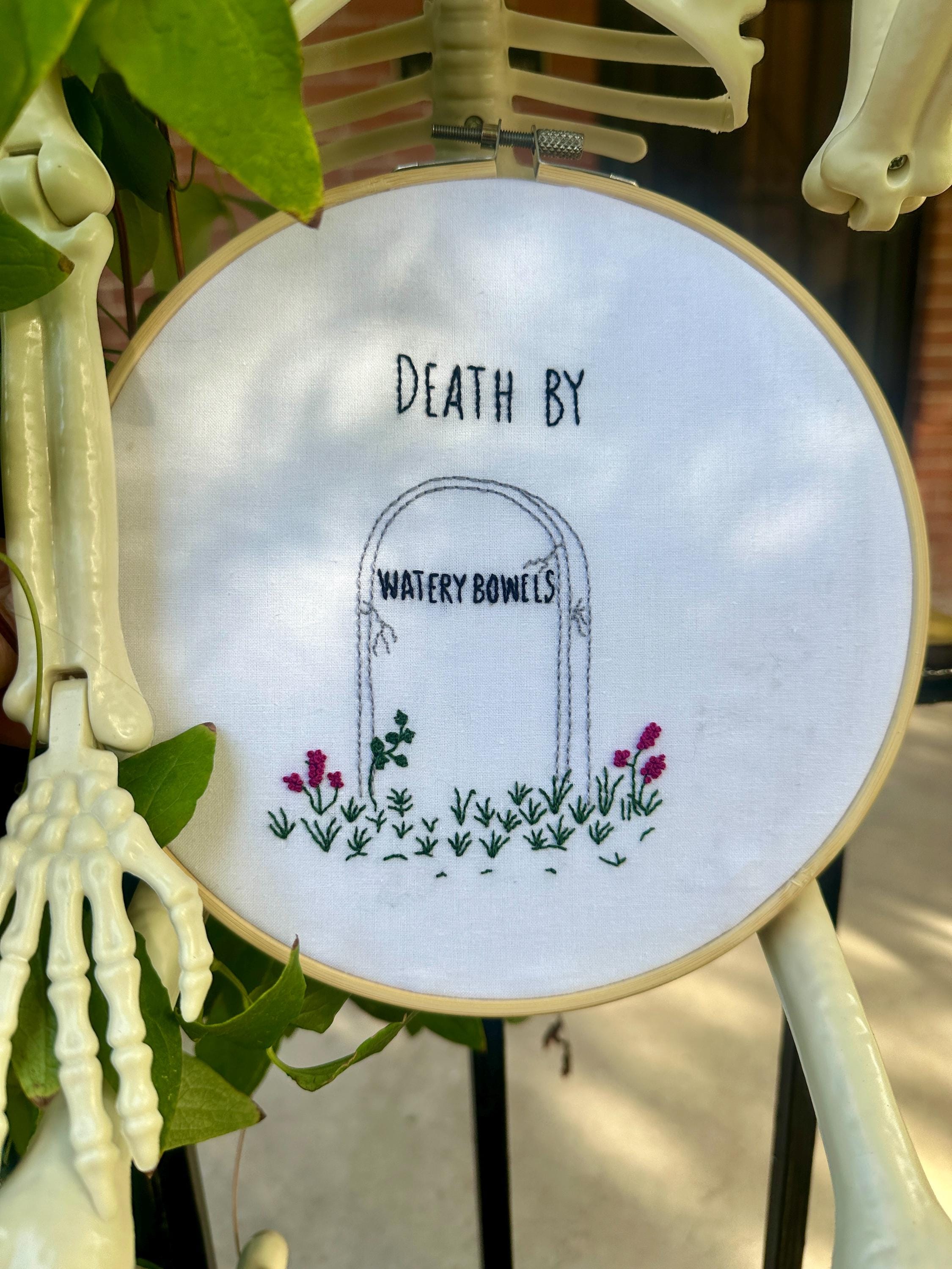 ACOTAR Inspired "watery Bowels" Beginner's Embroidery Kit - Etsy