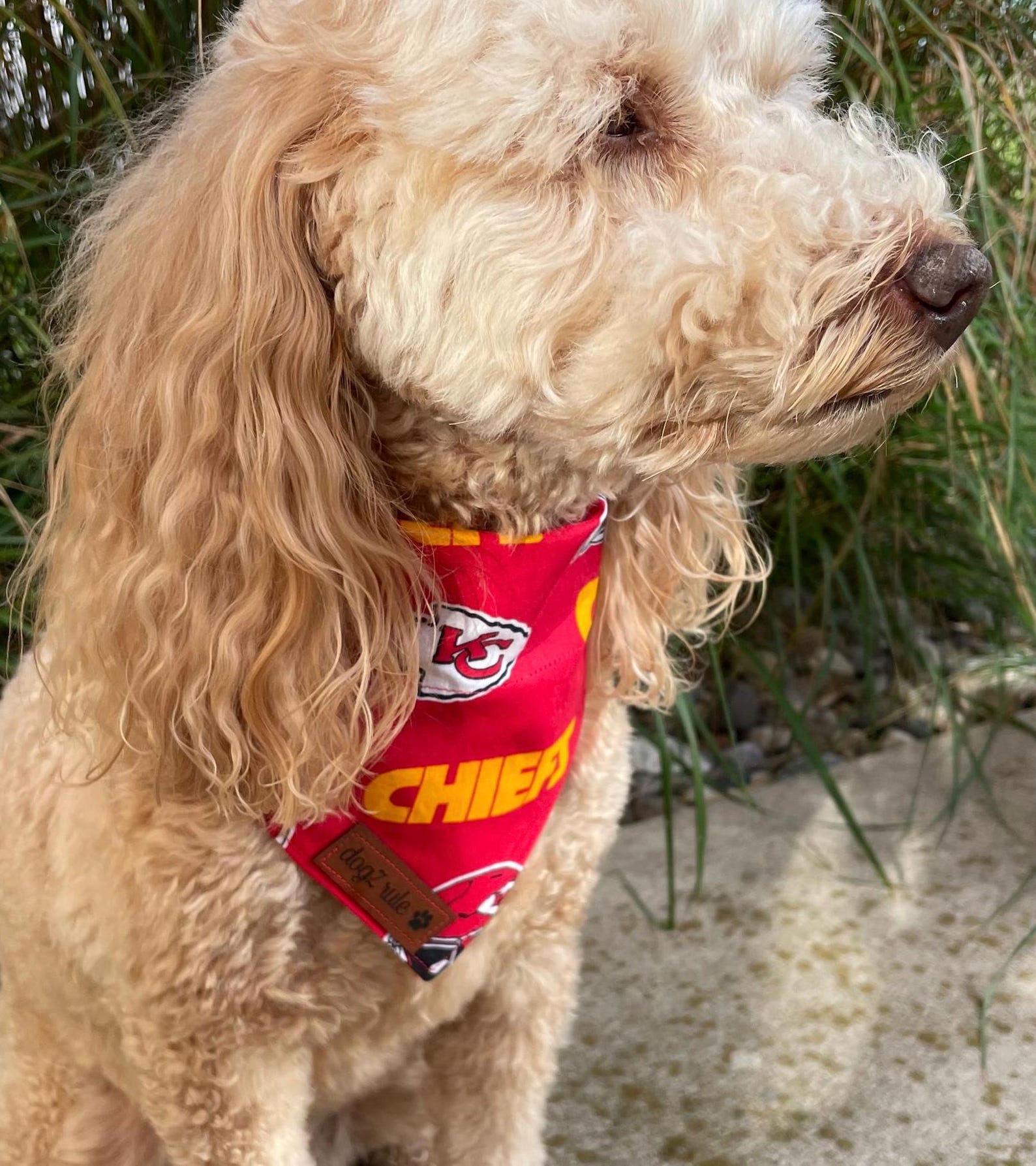 Kansas City Chiefs Bandana - Etsy