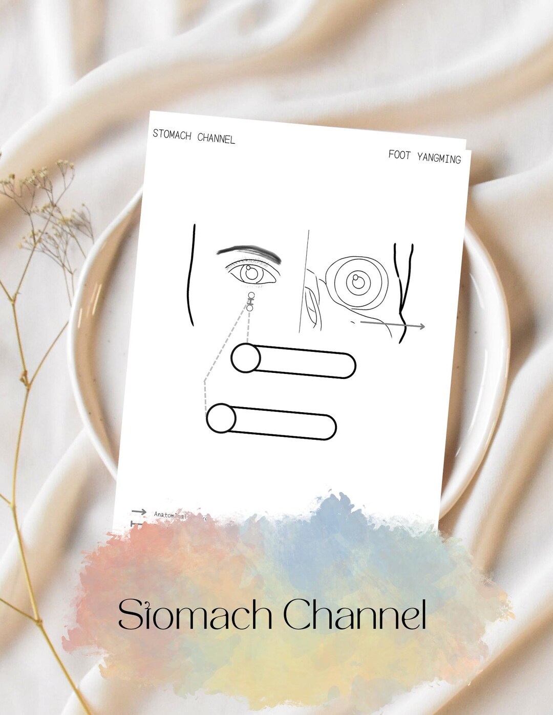 Coloring Pages for Eastern Medicine Students Acupuncture Coloring Pages ...