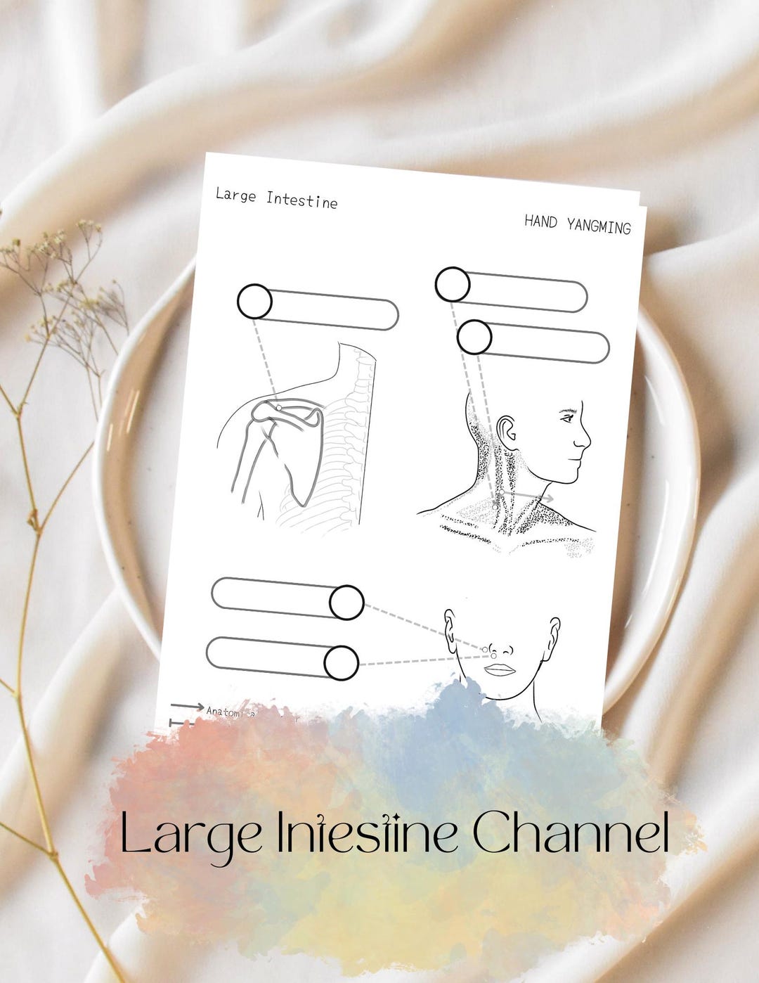 Coloring Pages for Eastern Medicine Students | Acupuncture Coloring ...