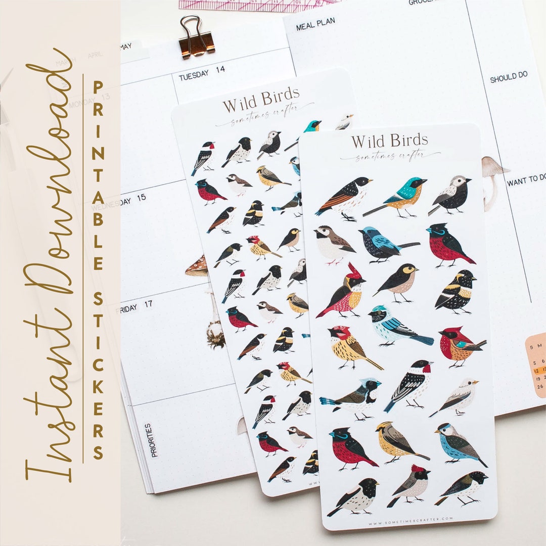 Printable Wild Birds Planner Sticker Sheets| Planner Stickers | Instant ...