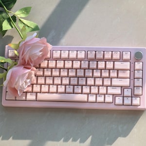 Pink Jelly Keycaps | OEM Profile Translucent Keycap Set | PBT+ PC ...