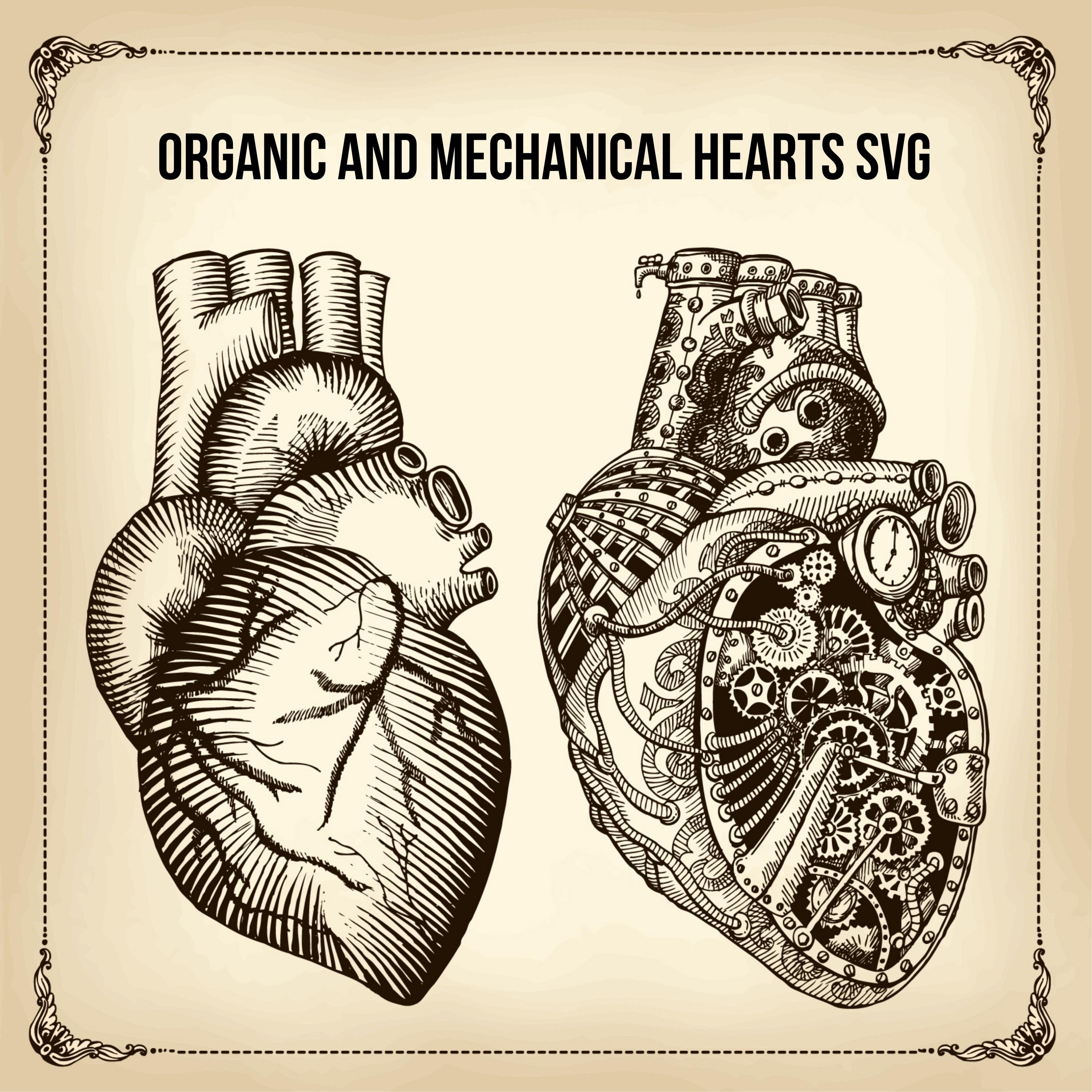 Steampunk Human Heart Illustration: Organic Mechanical Design (digital ...