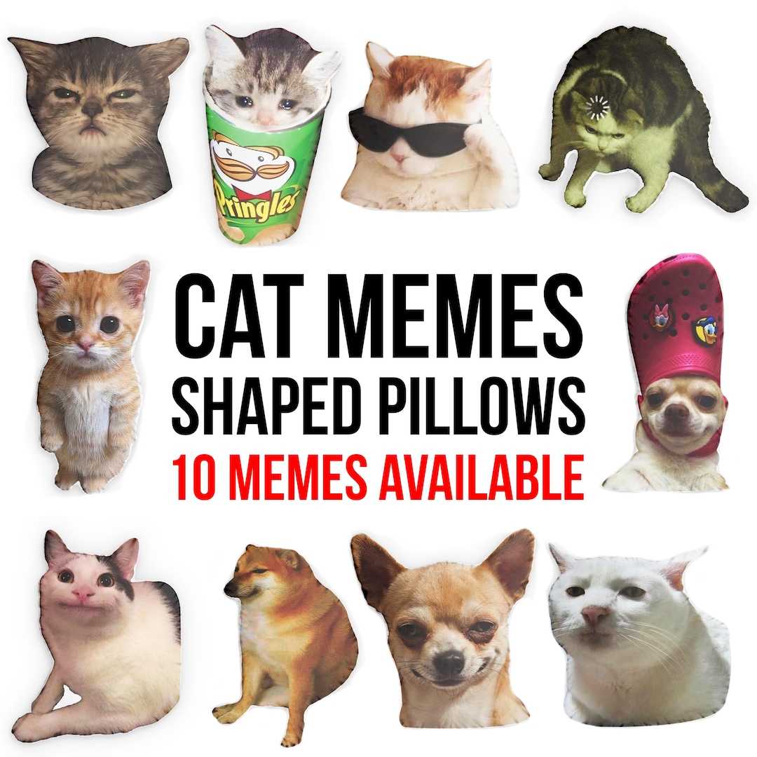 Funny Cat Meme Shaped Pillows, Sad Cat Meme Pillow, Pet Meme Pillow ...