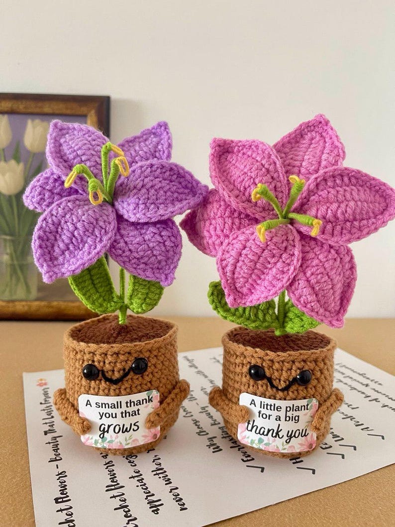 Personalized Gift – Crochet Flower Pot Decor – Encouragement Gift ...