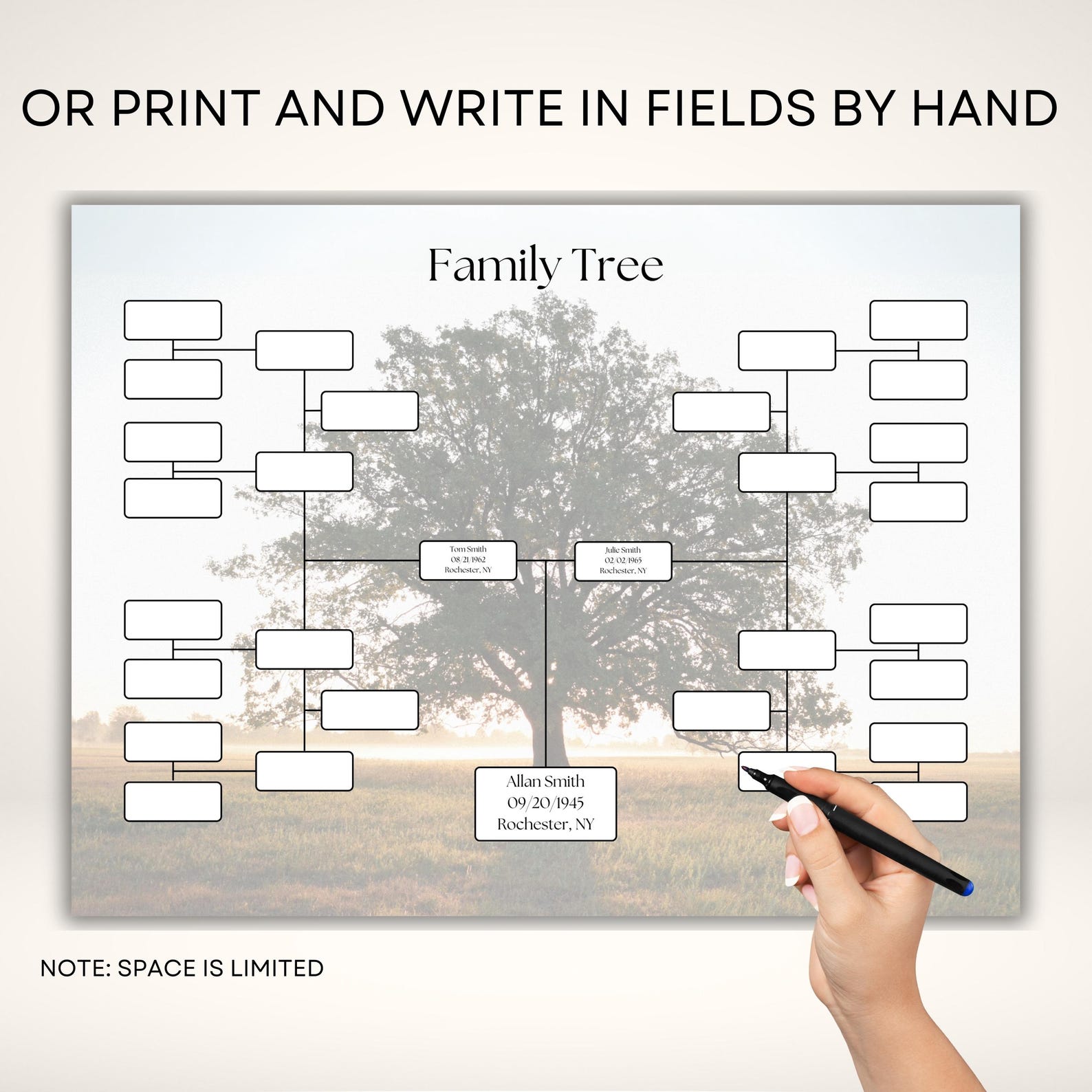 5 Generation Family Tree Chart | Printable Genealogy Template ...