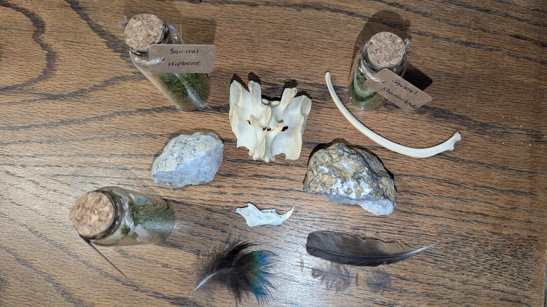 Tiny Oddities Mystery Box - Etsy