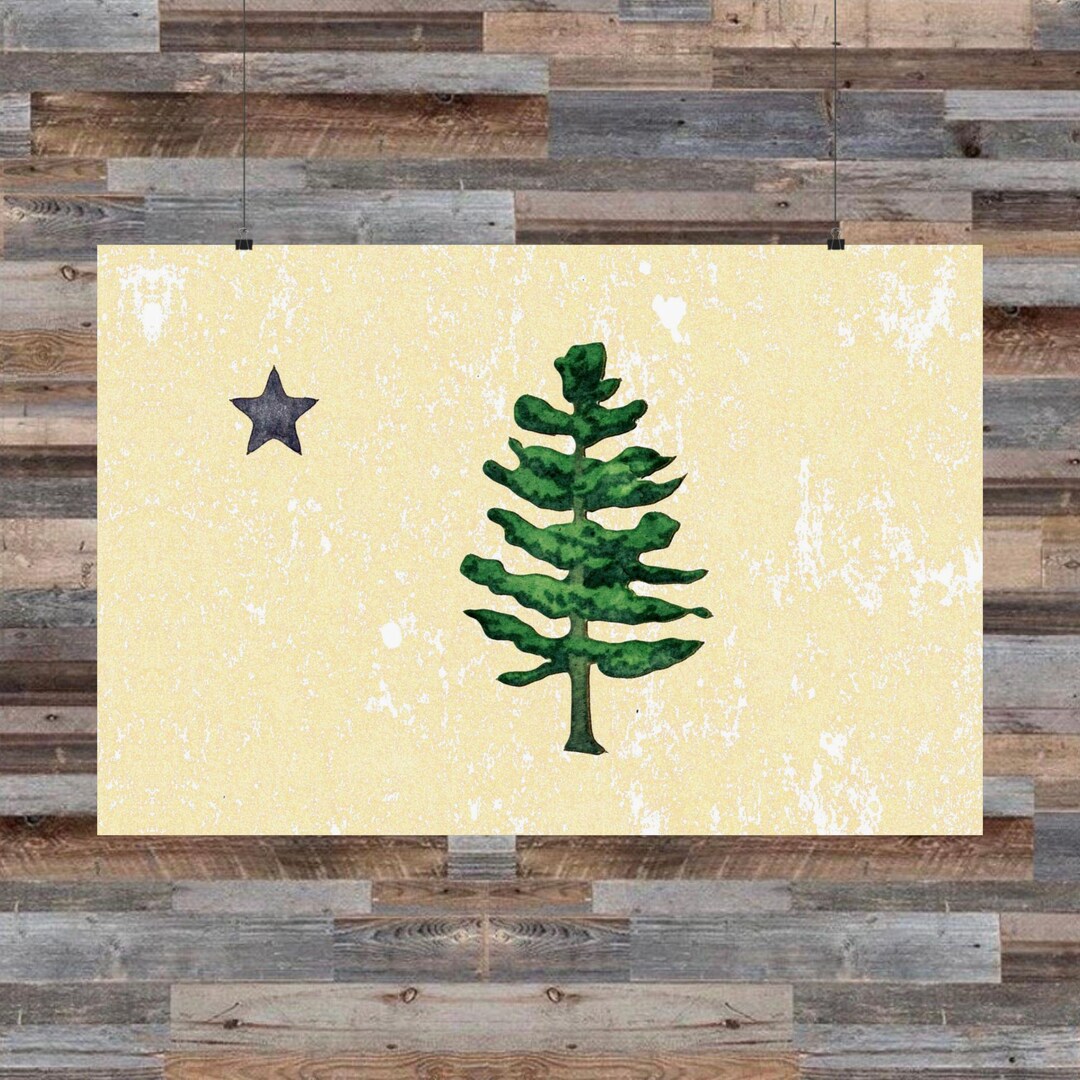 1901 Maine Flag Poster - Etsy
