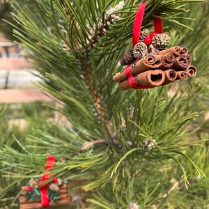 Cinnamon Stick Bundle Ornaments set of 3 - Etsy