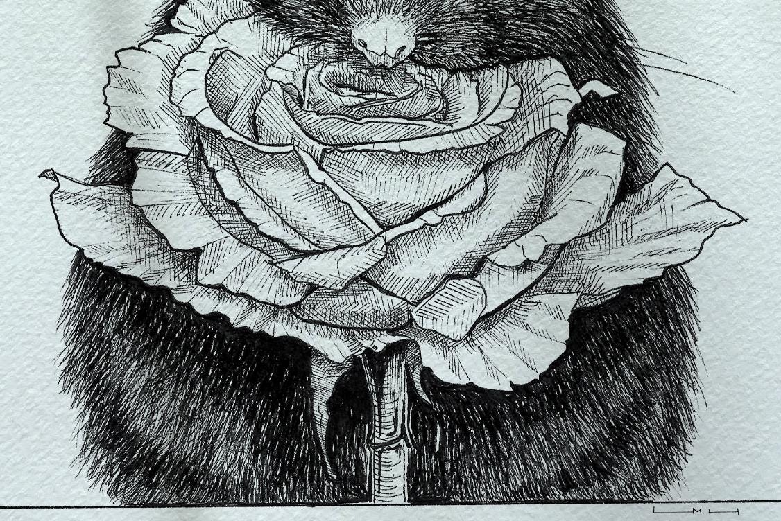 Gothic Rat & Rose Art Print — Surreal Ink Animal Illustration - Etsy