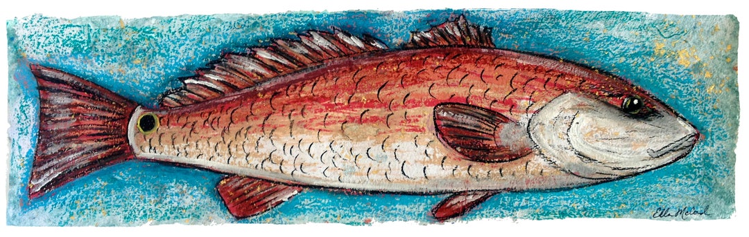 10x20 "big Red Fish" - PRINT MATTED to Fit 10x20 Frame - Etsy